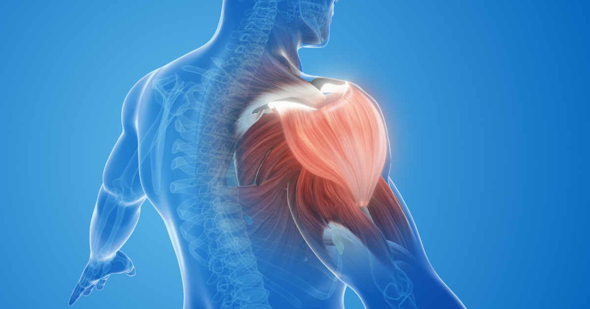 What is SIRVA? Symptoms, Causes, Treatment in 2024